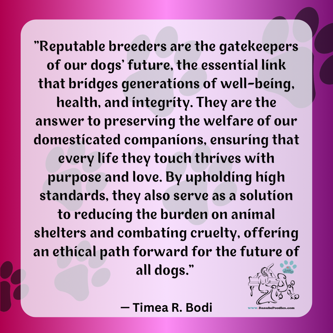 Behind the Scenes of Ethical Breeding: The Unseen Sacrifices and ...