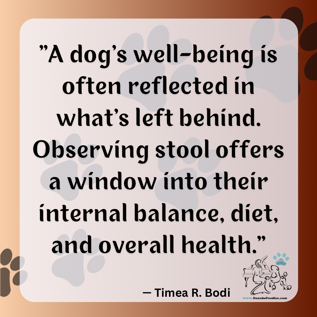 Monitoring Your Dog’s Health Through Stool: A Guide to Recognizing ...